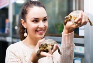 Why Do Tortoises Headbutt? (Ramming Behavior Meaning)